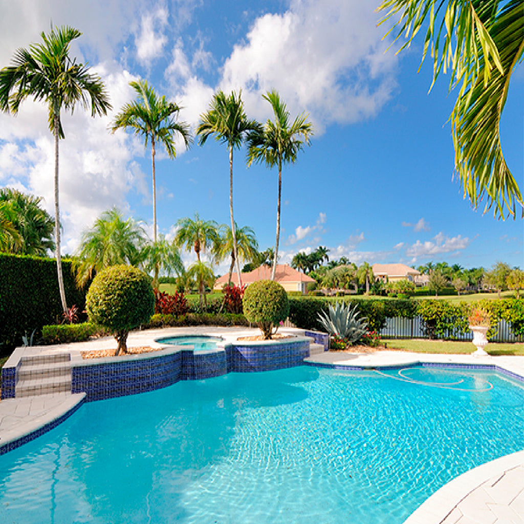 CelaPerl Perlite Filter Aid – Diatomaceous Earth Alternative - Swimmin ...